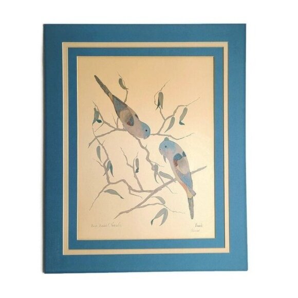 Art | Art Blue Bonnet Parrots Pat Moran Lithograph Print Unframed ...